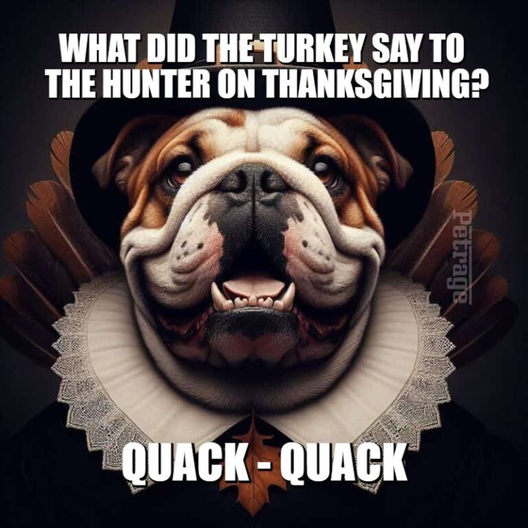 Sarcastic Boxer Dog Women and Ice Cream Meme - PETRAGE