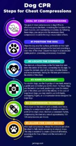 First Aid and CPR for Dogs: Save Your Pet's Life