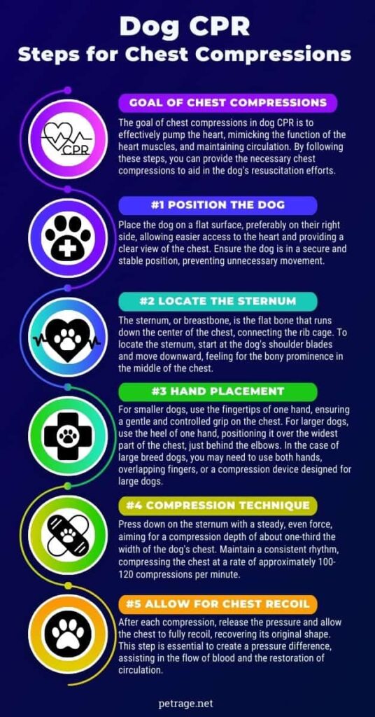 First Aid and CPR for Dogs: Save Your Pet's Life