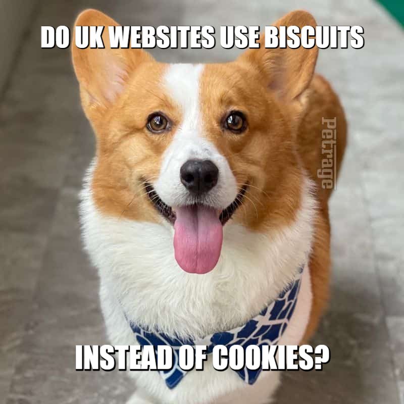 Corgi Biscuits Meme