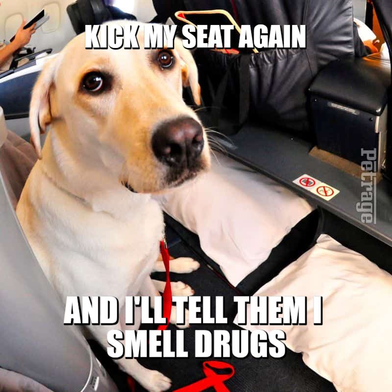 Kick My Seat Again Meme