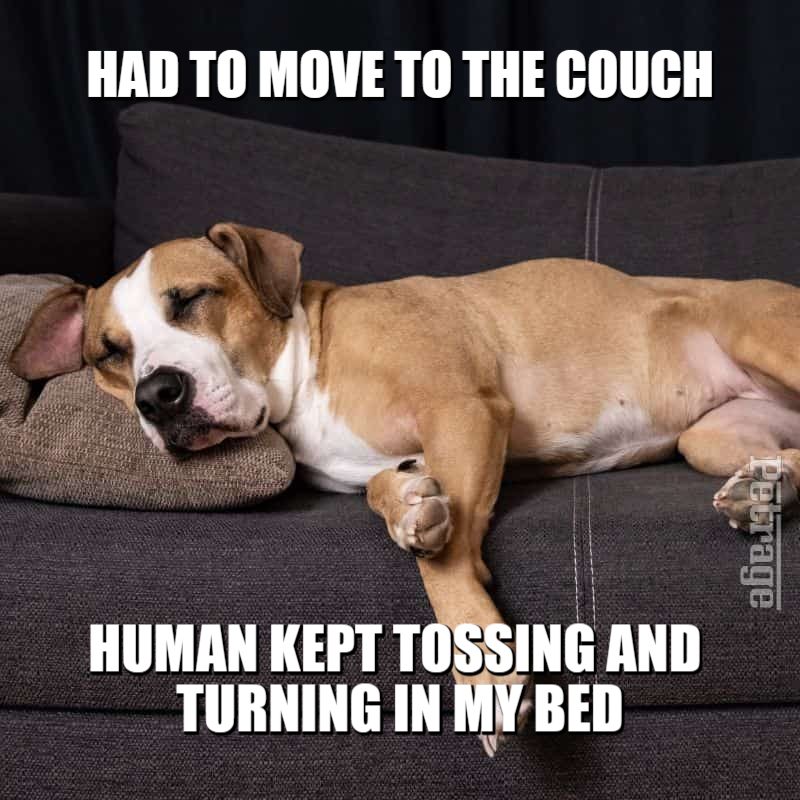 Move to the Couch Meme