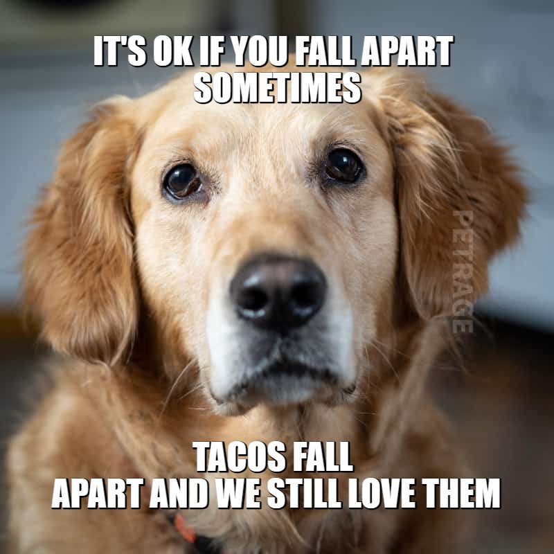 Golden Retriever Fall Apart Meme