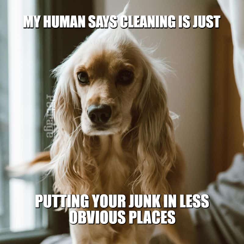 Funny - Sarcastic - Shocking Dog Memes