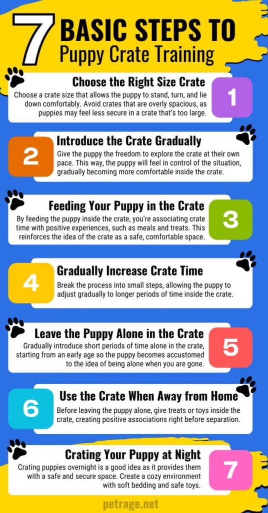 Puppy Crate Training: 7 Simple Steps for Success