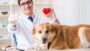10 Heart Defects in Dogs You Should Know About