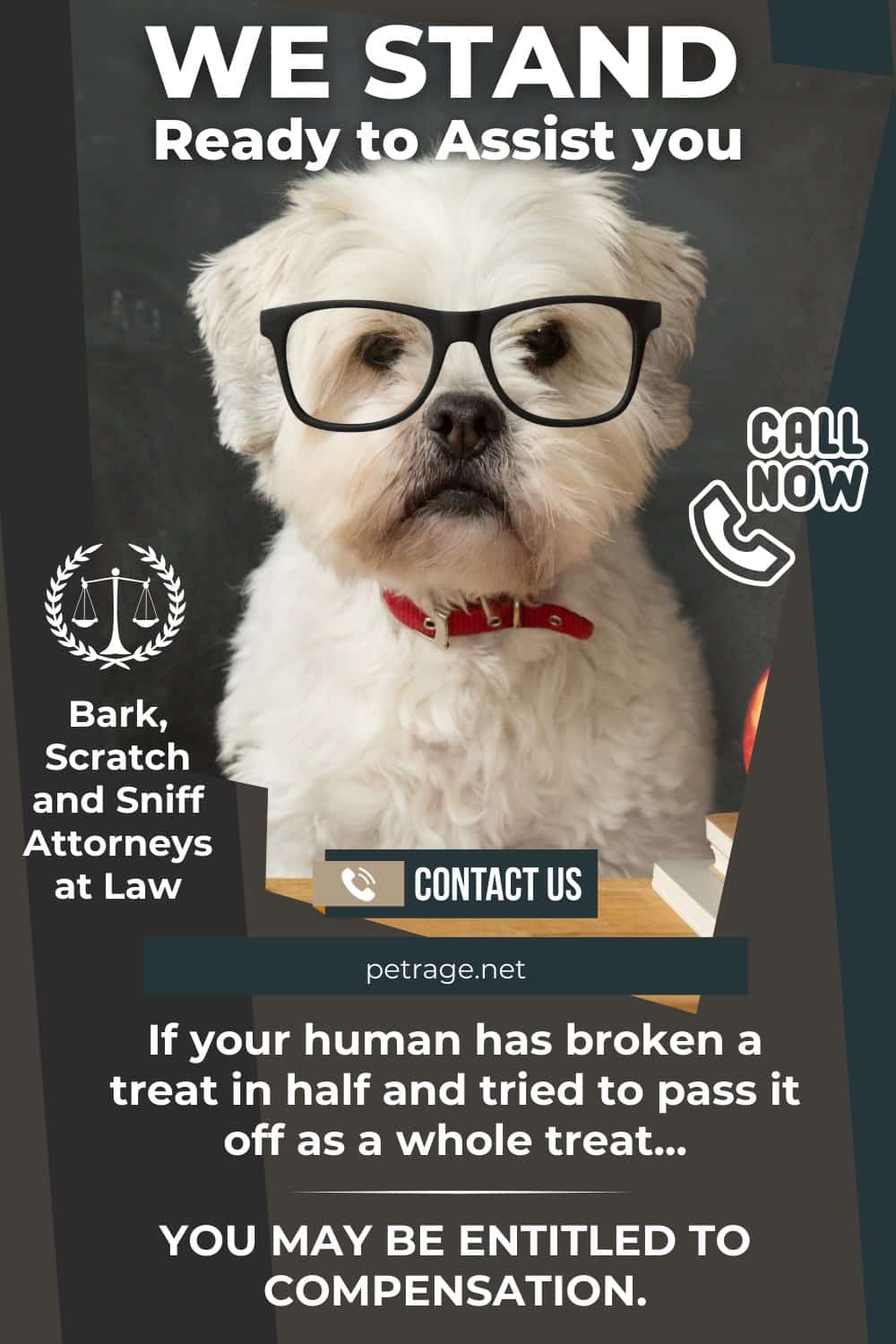 Bark Scratch and Sniff Attorneys at Law