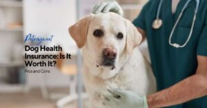 Dog Health Insurance: Is It Worth It? Pros & Cons